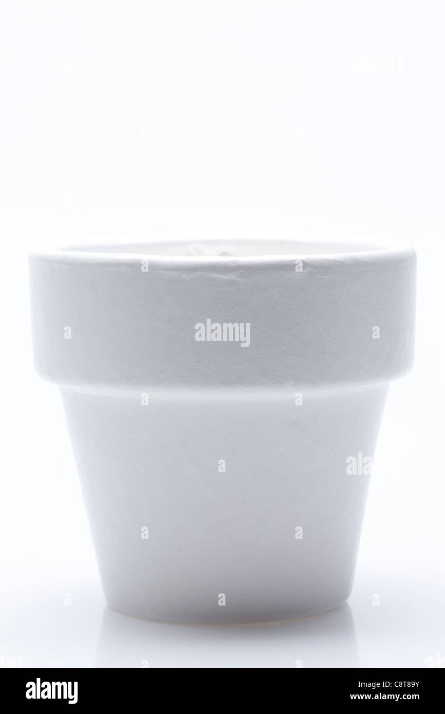 White Pot Plant With White Background Stock Photo - Alamy