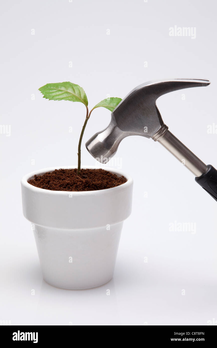 White Pot And Hammer With White Background Stock Photo - Alamy
