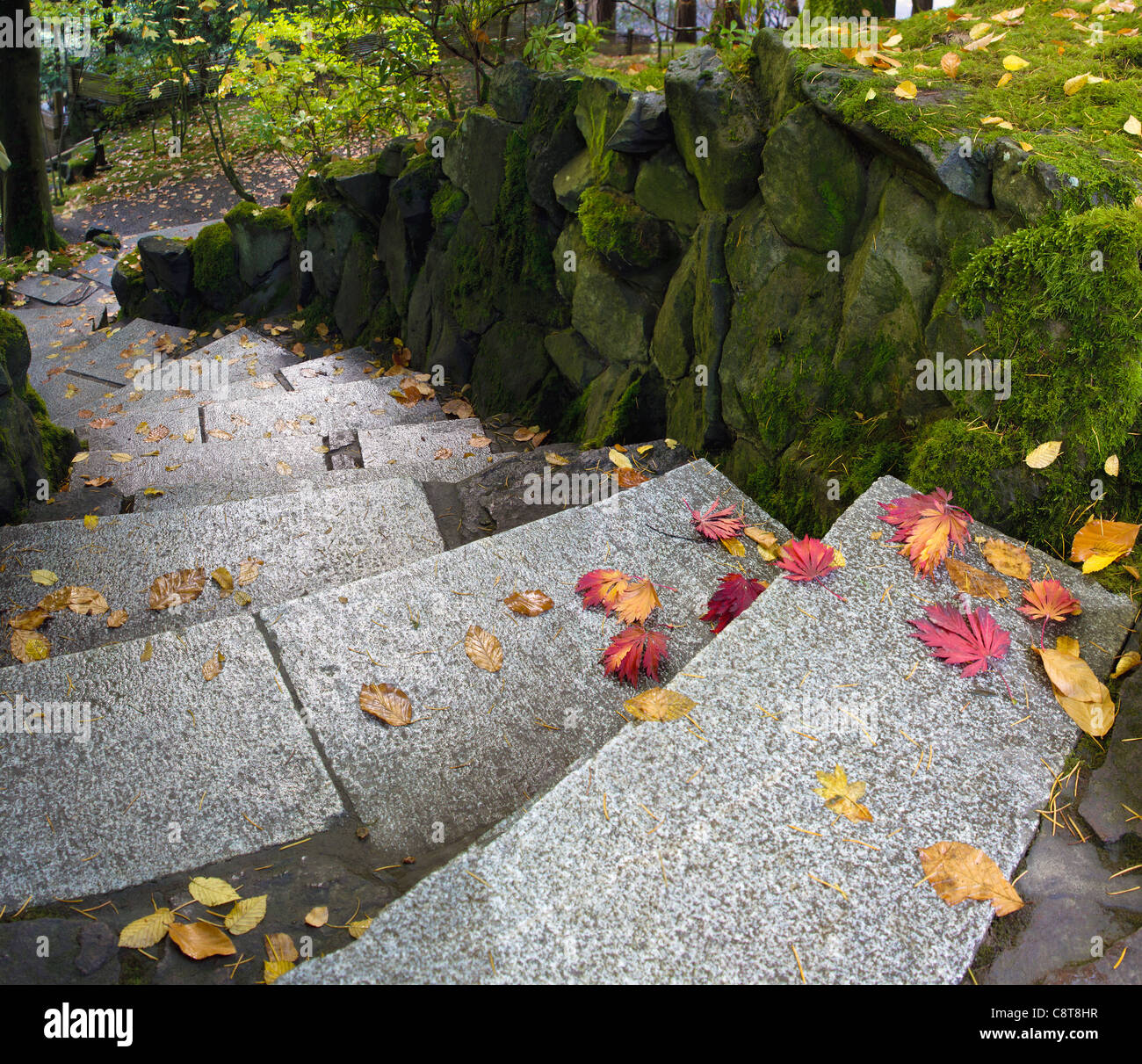 Garden Path Granite Stone Steps at Japanese Garden in the Fall Stock ...