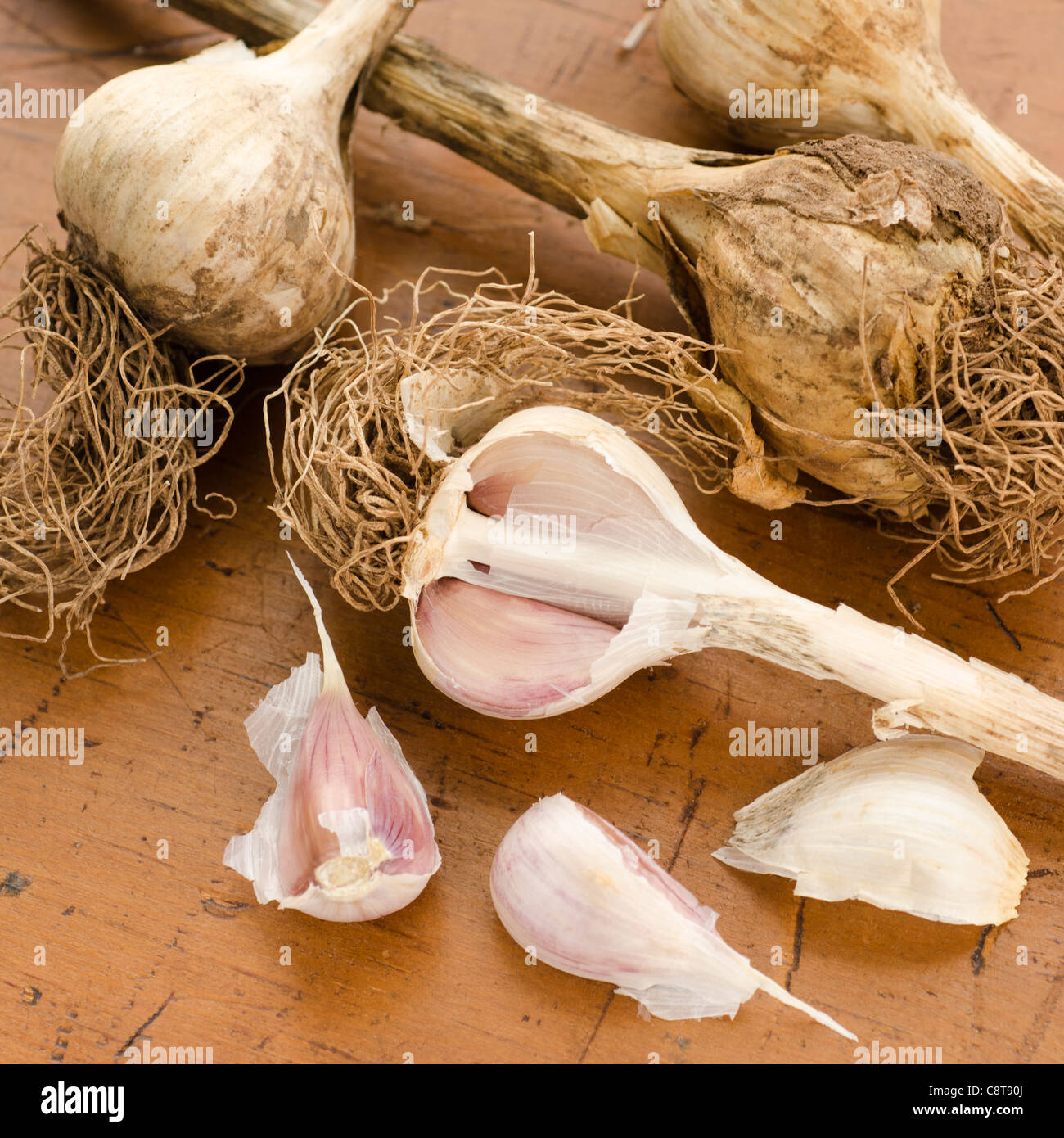 Studio shot of garlic Stock Photo - Alamy