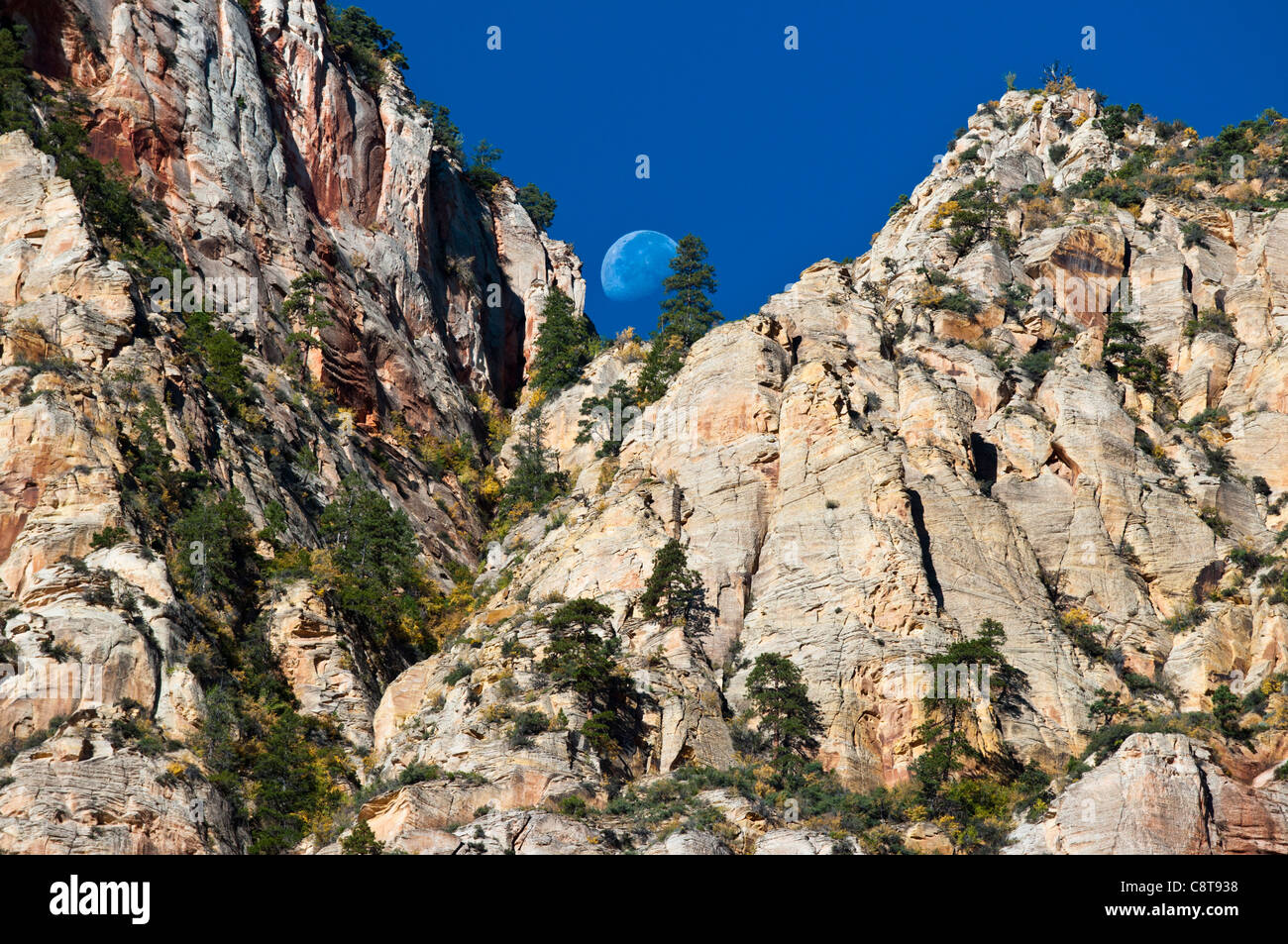 Two twin peaks hi-res stock photography and images - Alamy