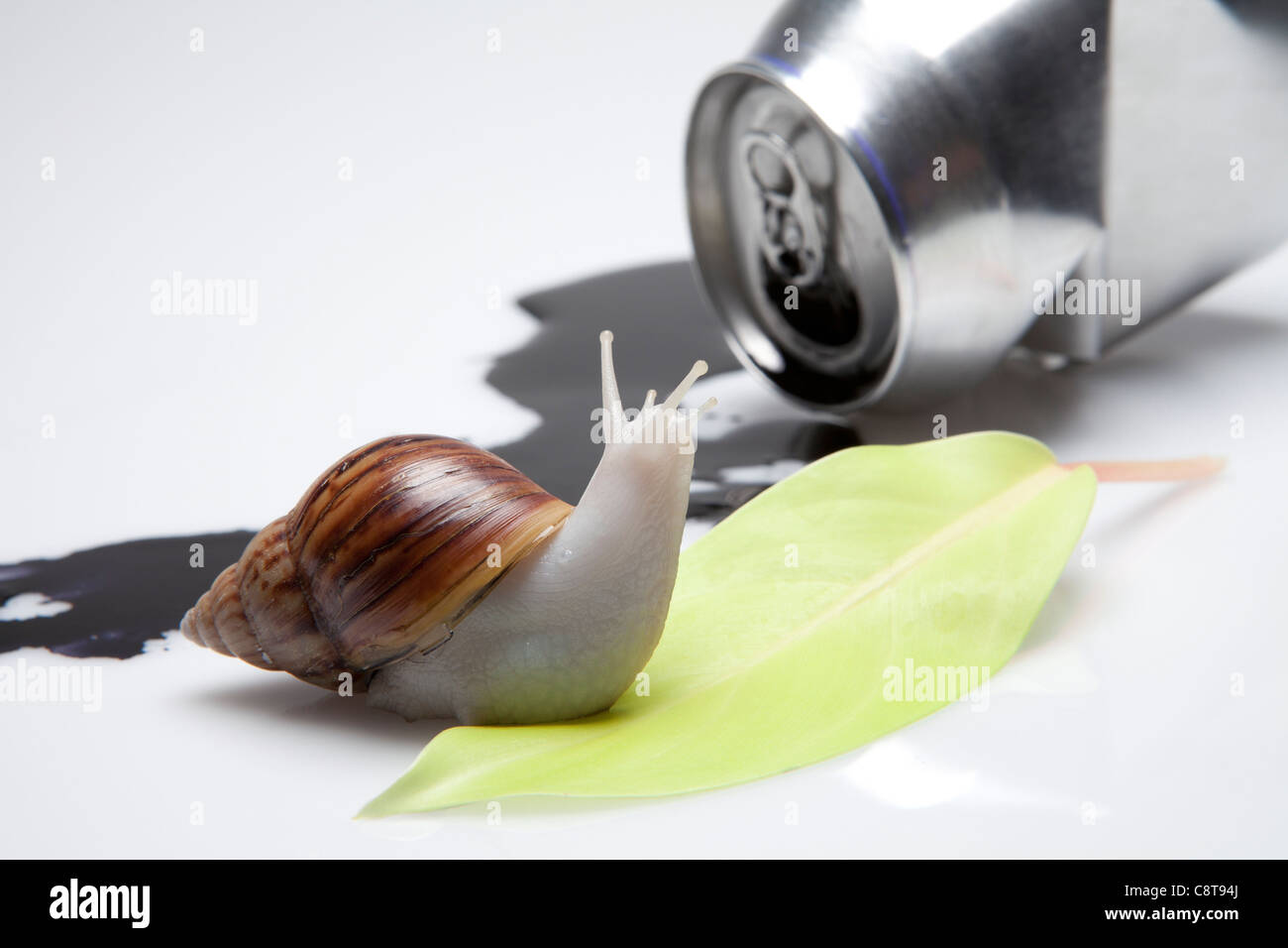 Snail And Crushed Can With Liquid Stock Photo - Alamy