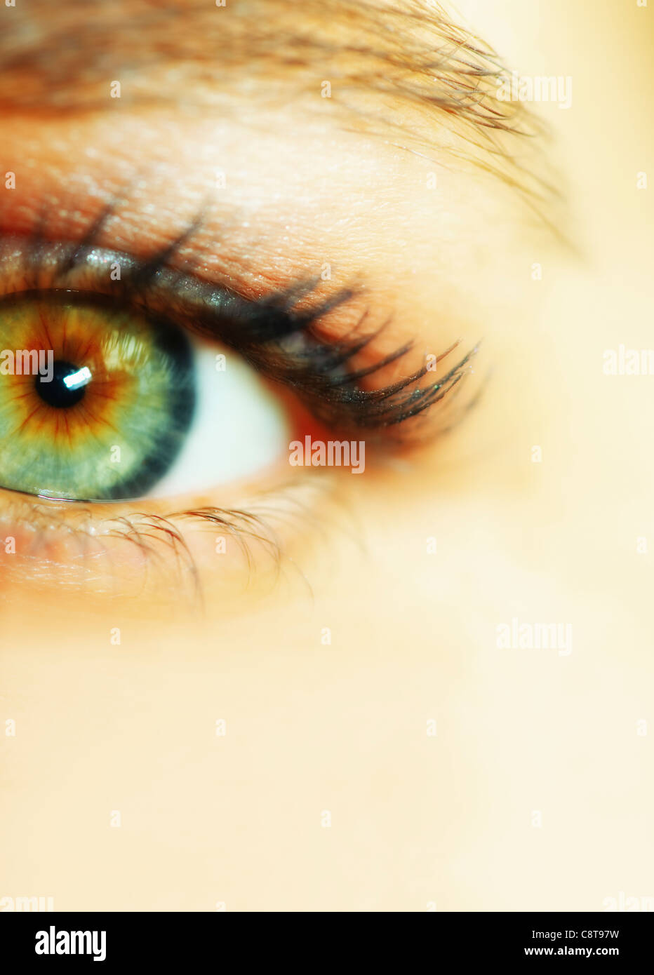 Studio shot of female eye Stock Photo - Alamy