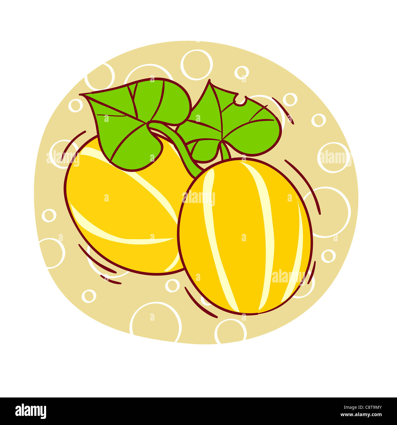 Illustration of muskmelon against white background Stock Photo - Alamy