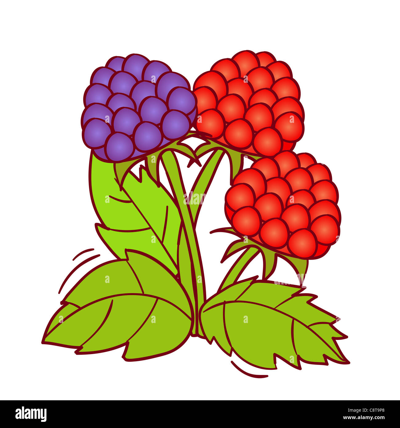 Illustration of bunch of grapes against white background Stock Photo ...