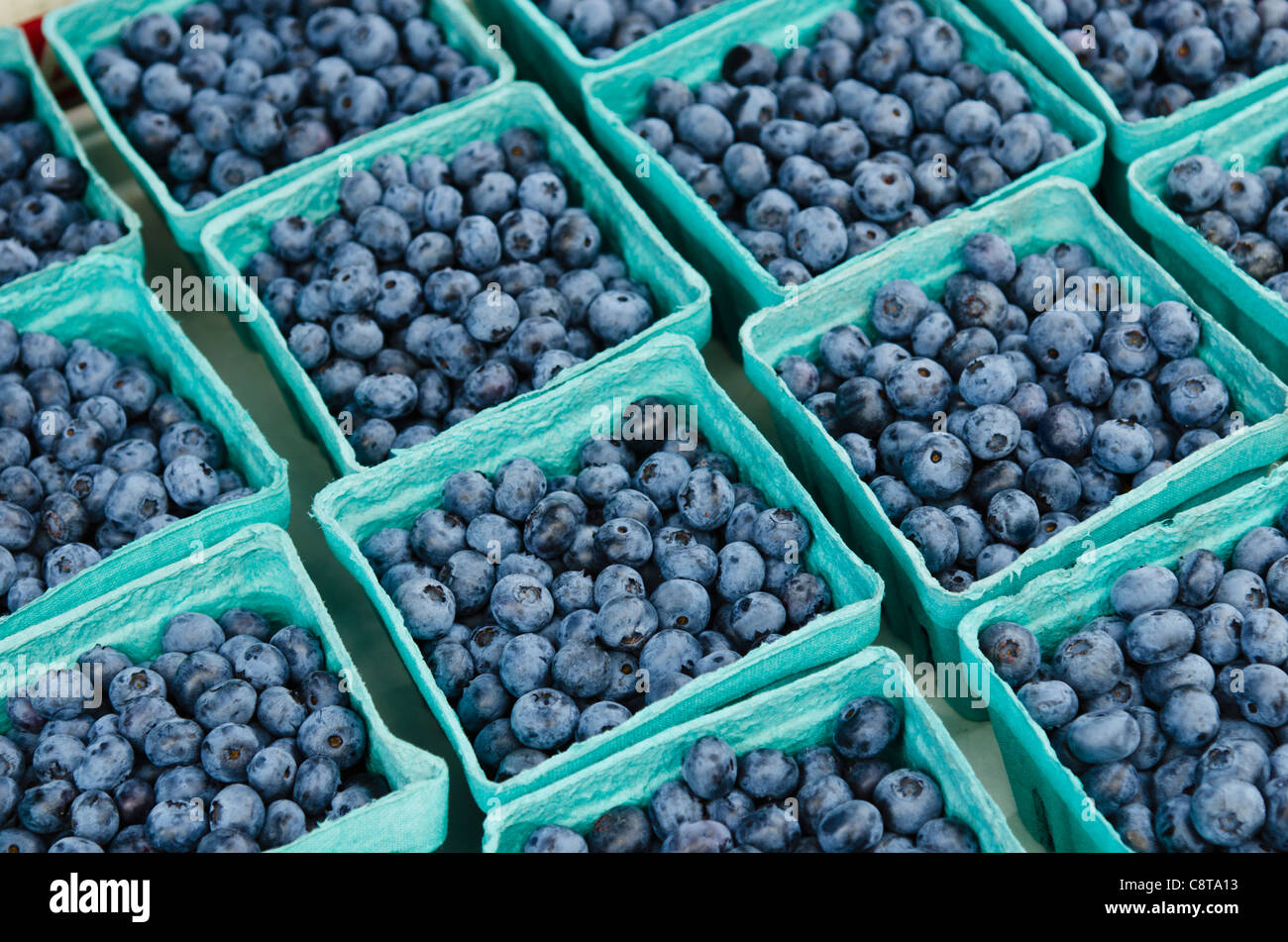 USA, New York City, Rows of blueberries in cartons Stock Photo - Alamy