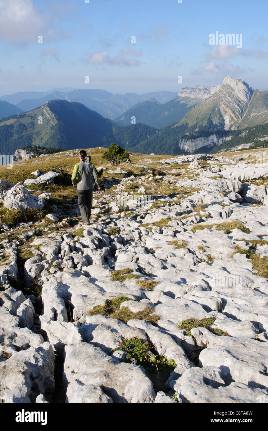 Limestone pavement on the Dent de Crolle in the Chartreuse region of ...
