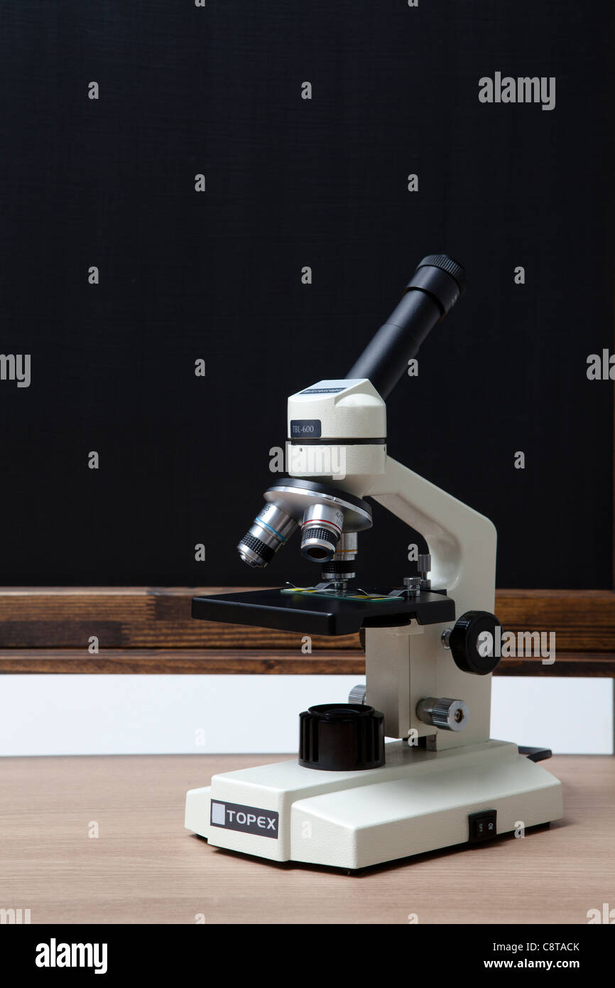 Microscopic wood hi-res stock photography and images - Alamy Microscopic wood hi-res stock photography and images - Alamy