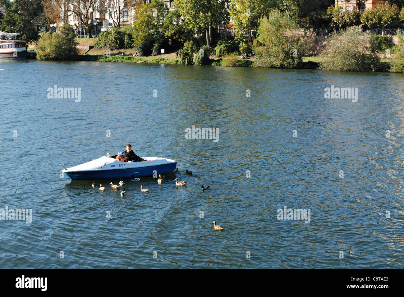 Father and child paddle boat geese hi-res stock photography and images ...