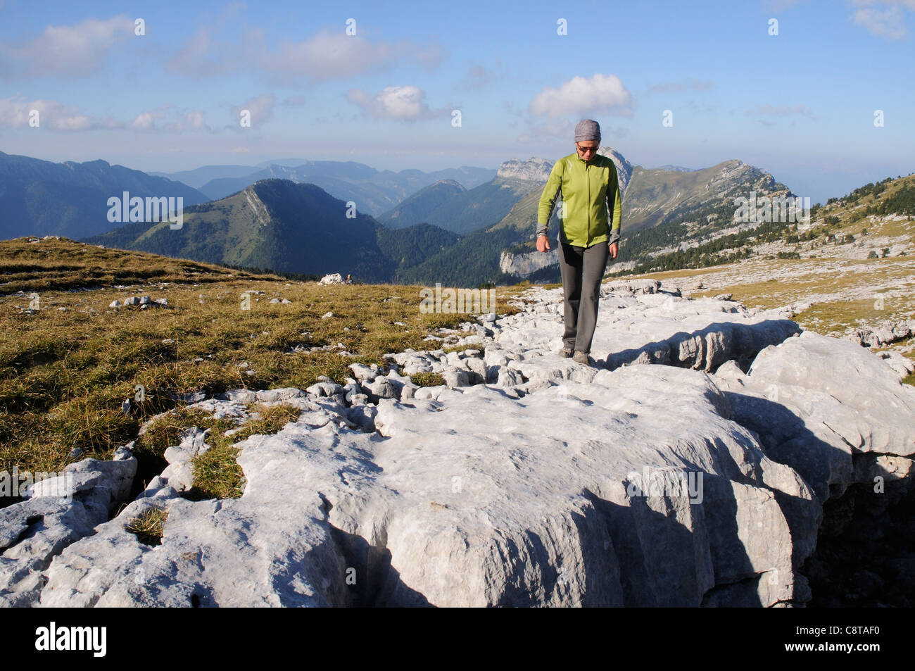 Limestone pavement on the Dent de Crolle in the Chartreuse region of ...