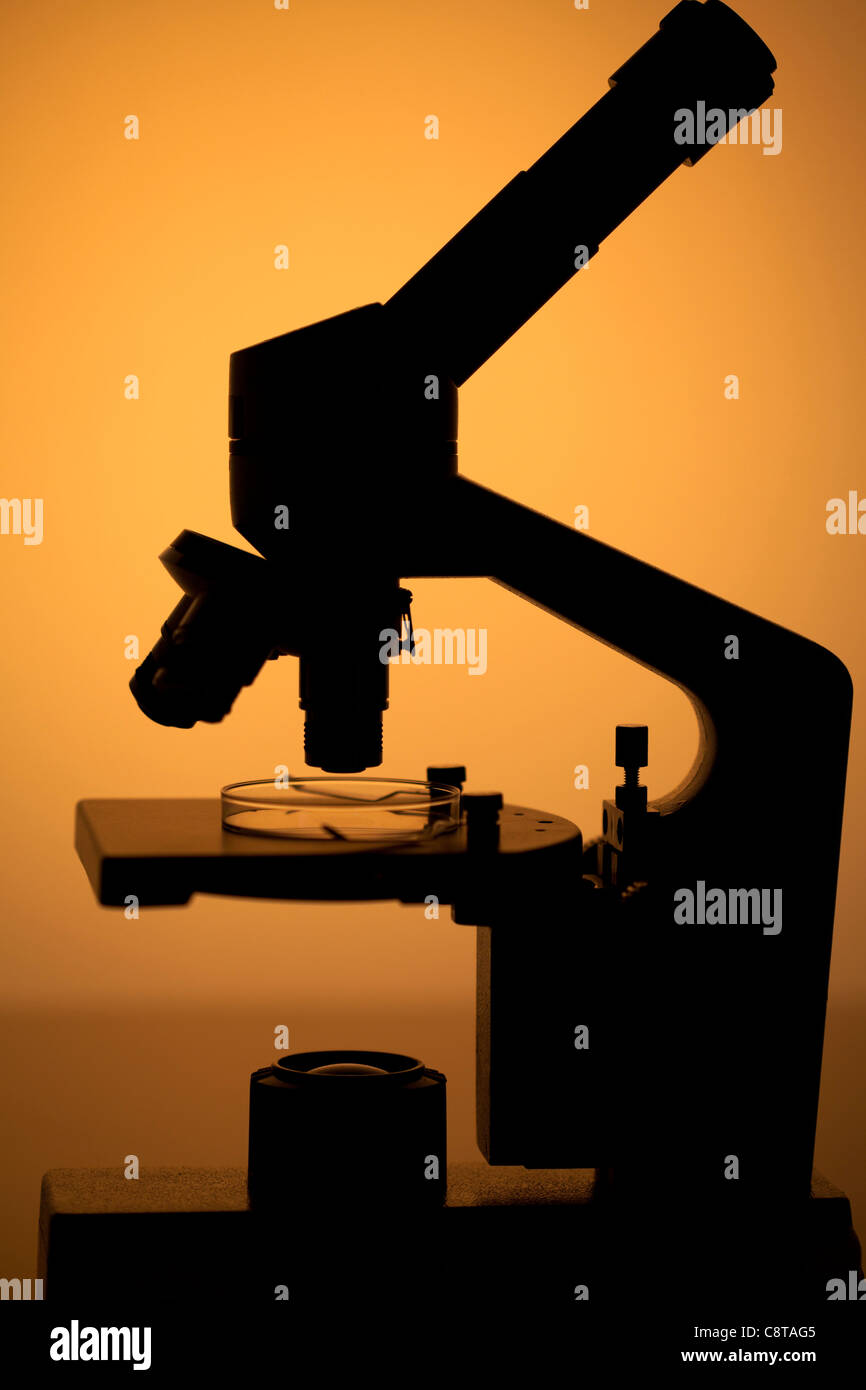 Microscopic exploration hi-res stock photography and images - Alamy