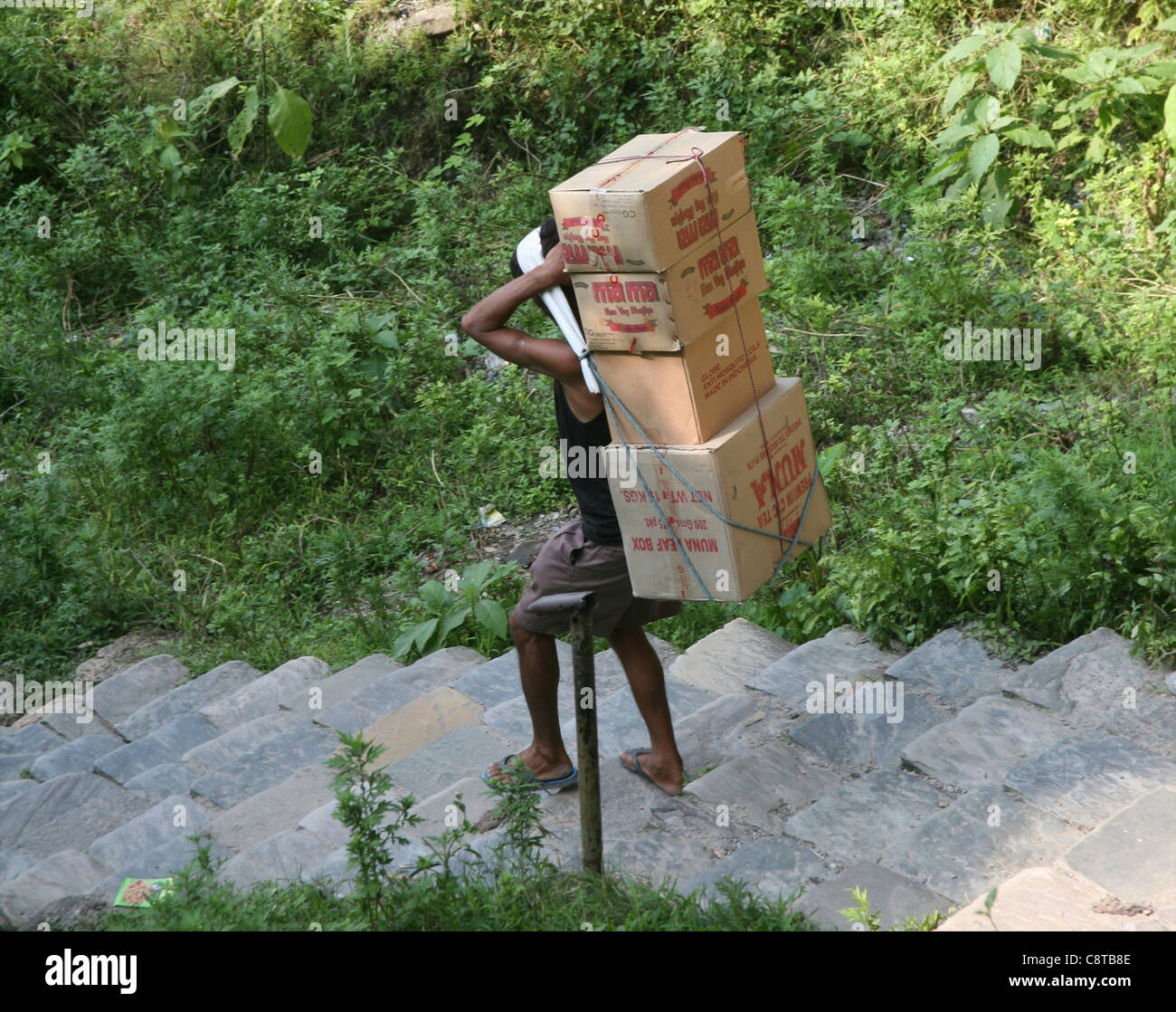 porter in nepal Stock Photo - Alamy