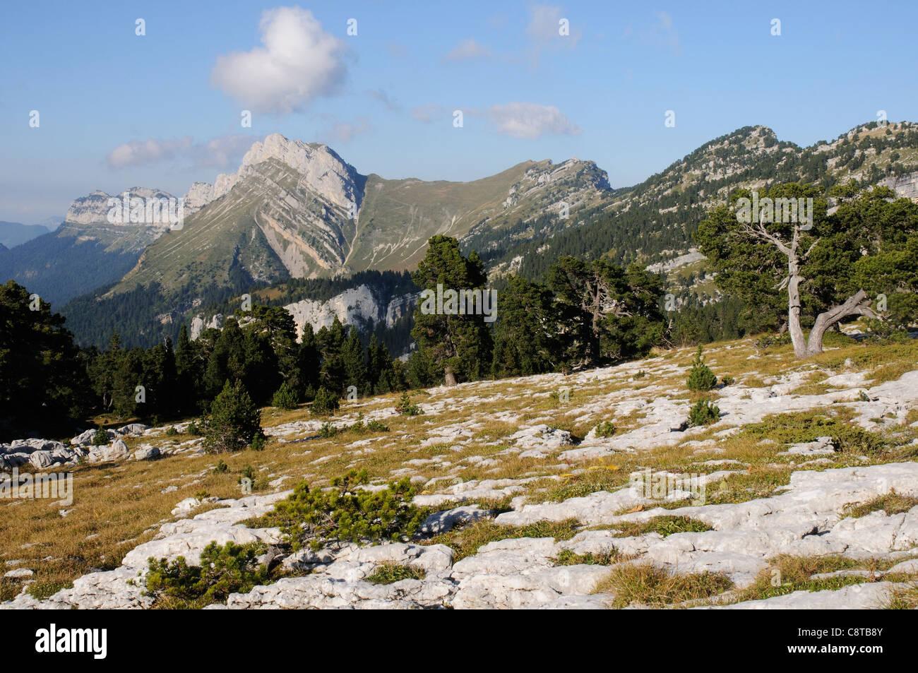 Limestone pavement on the Dent de Crolle in the Chartreuse region of ...