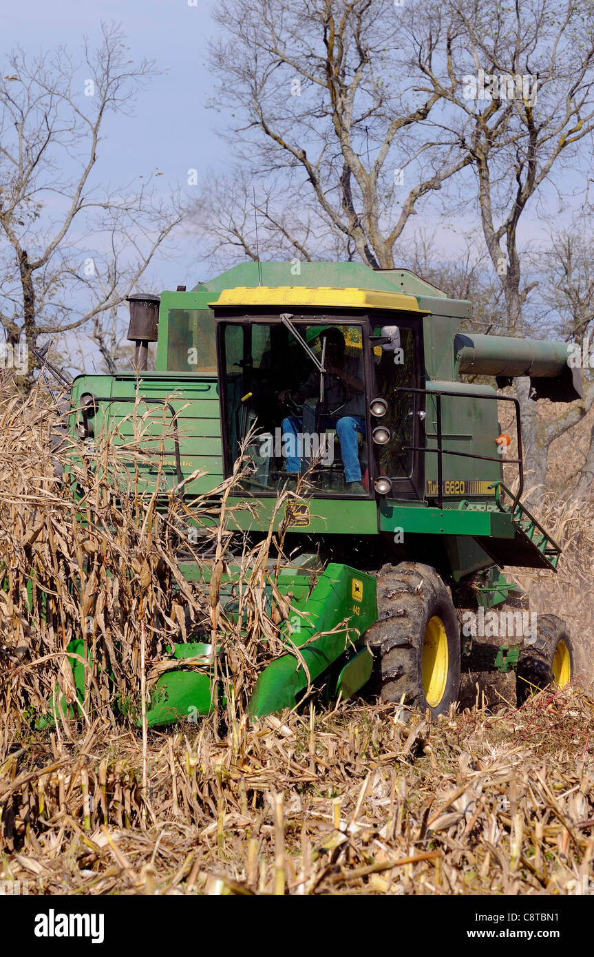 Combine corn harvest kentucky hi-res stock photography and images - Alamy