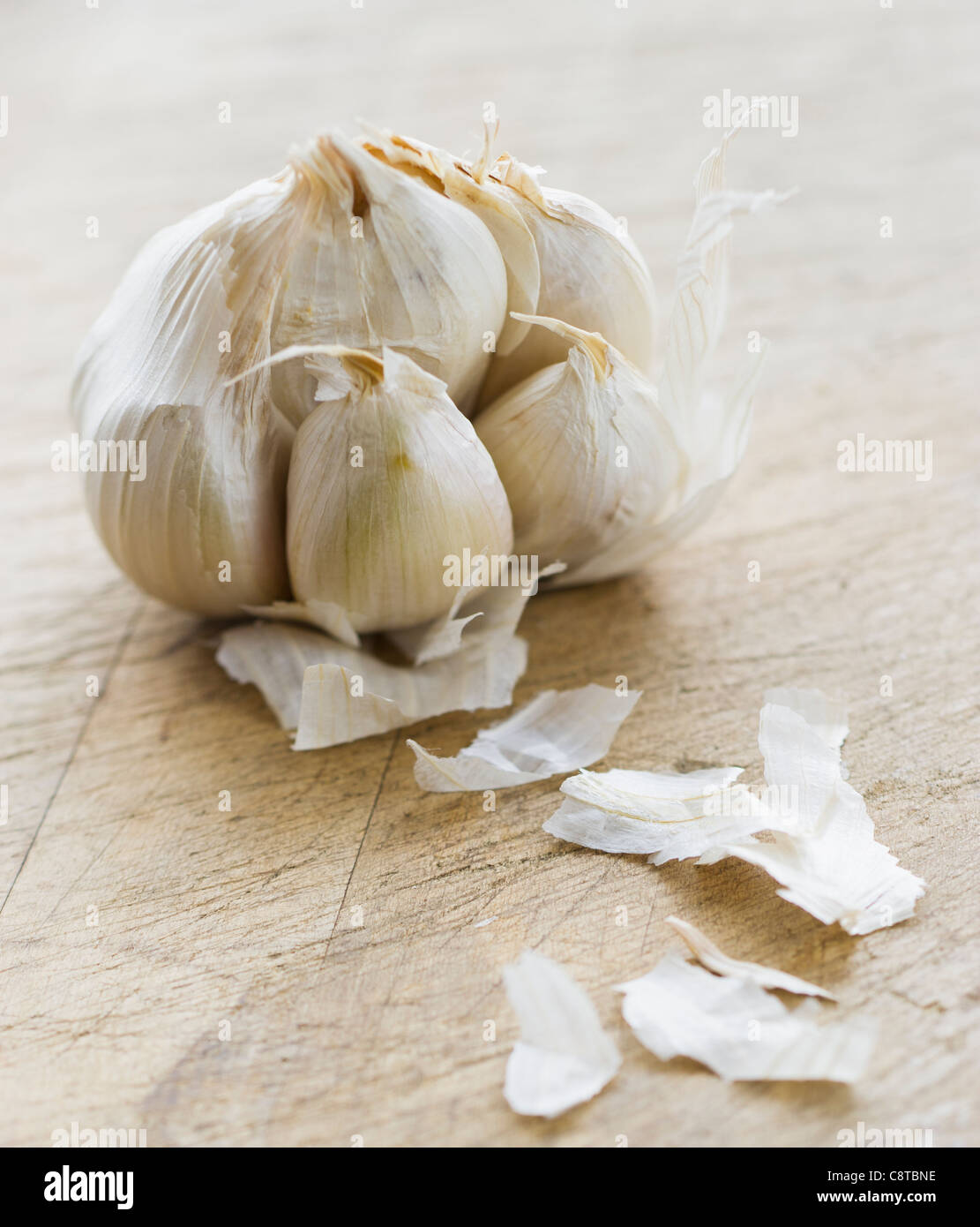 Studio shot of fresh garlic Stock Photo - Alamy