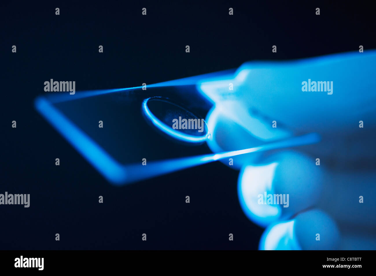 Studio shot of hand holding microscope slide Stock Photo - Alamy