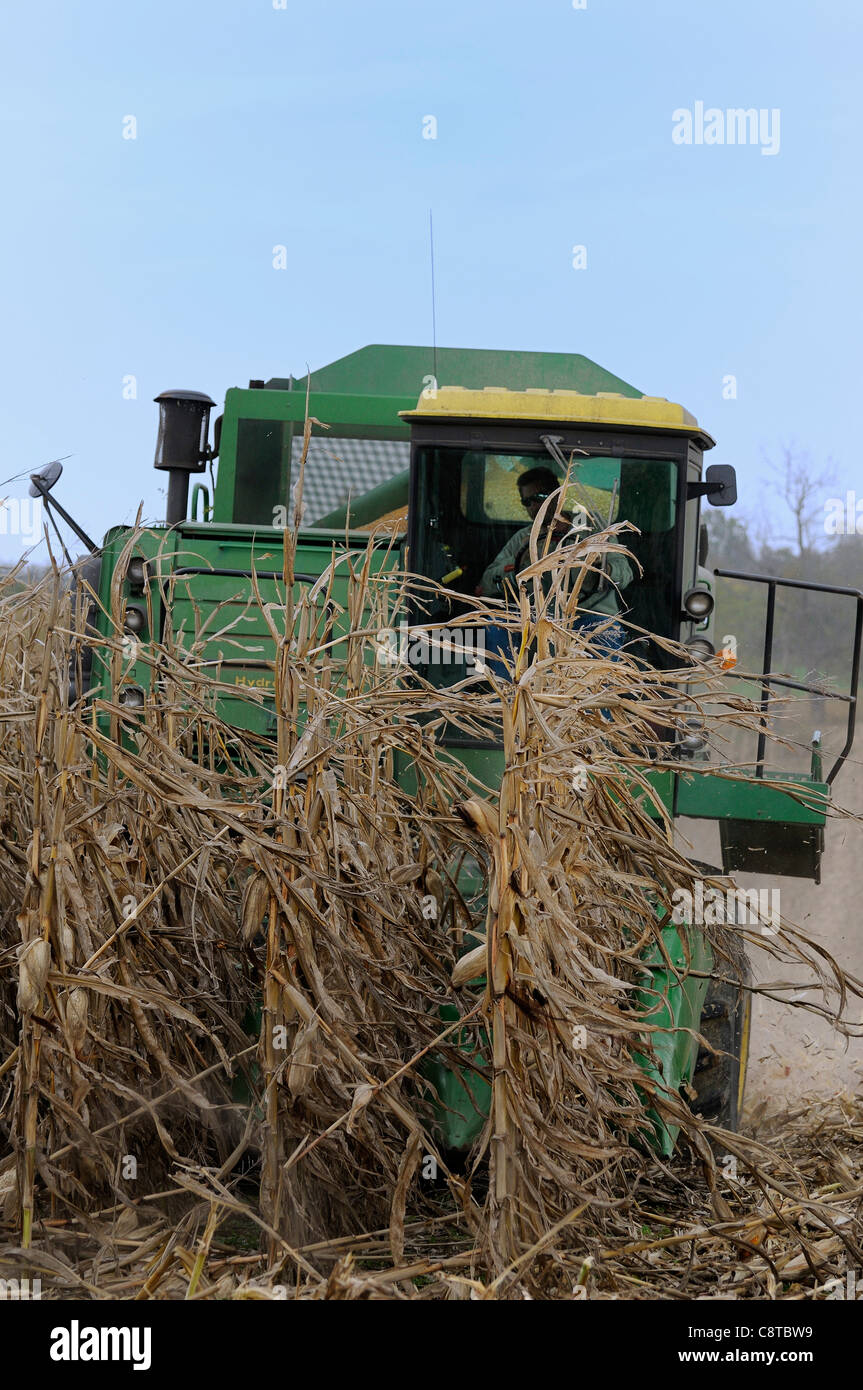 Combine corn harvest kentucky hi-res stock photography and images - Alamy