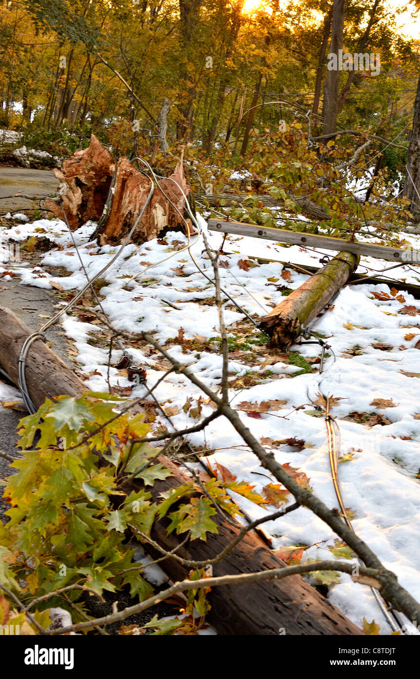 Damage and destruction from a surprise autumn snowstorm in New York ...