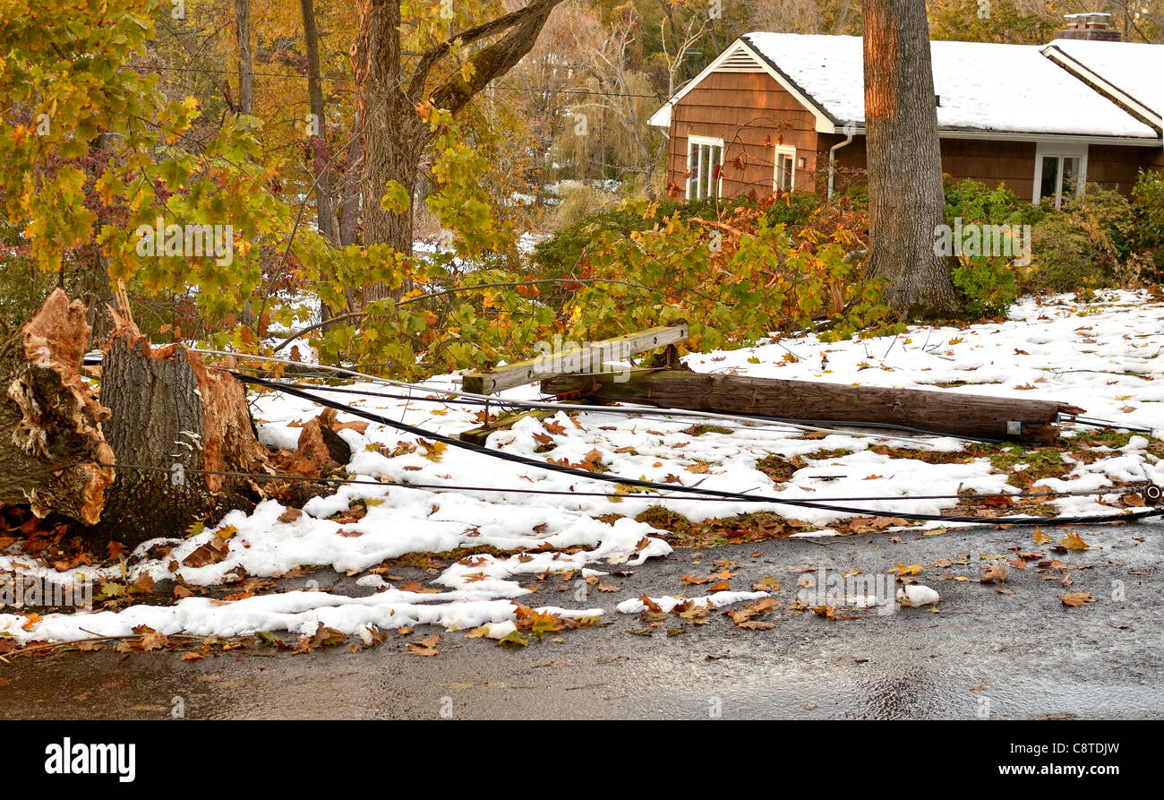 Damage and destruction from a surprise autumn snowstorm in New York ...