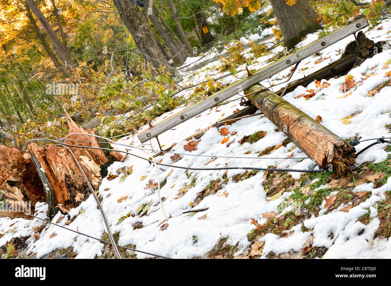 Damage and destruction from a surprise autumn snowstorm in New York ...