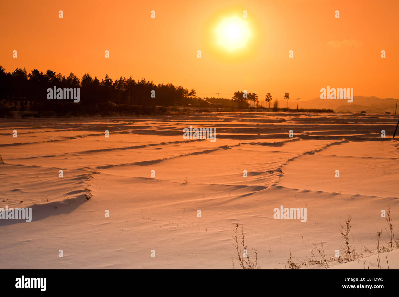 Sunset tree shadow snow hi-res stock photography and images - Alamy