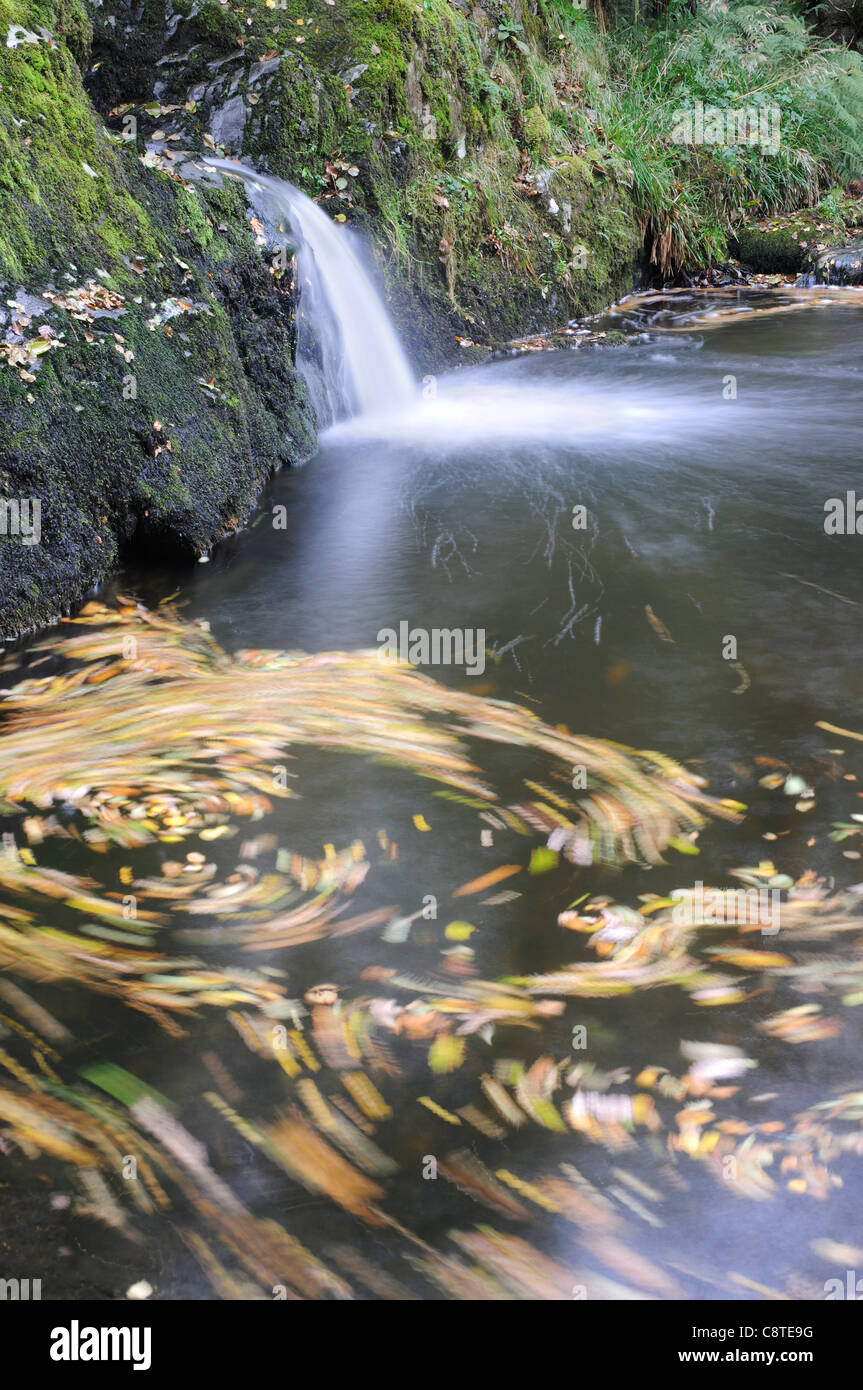 Turning Leaves High Resolution Stock Photography and Images - Alamy