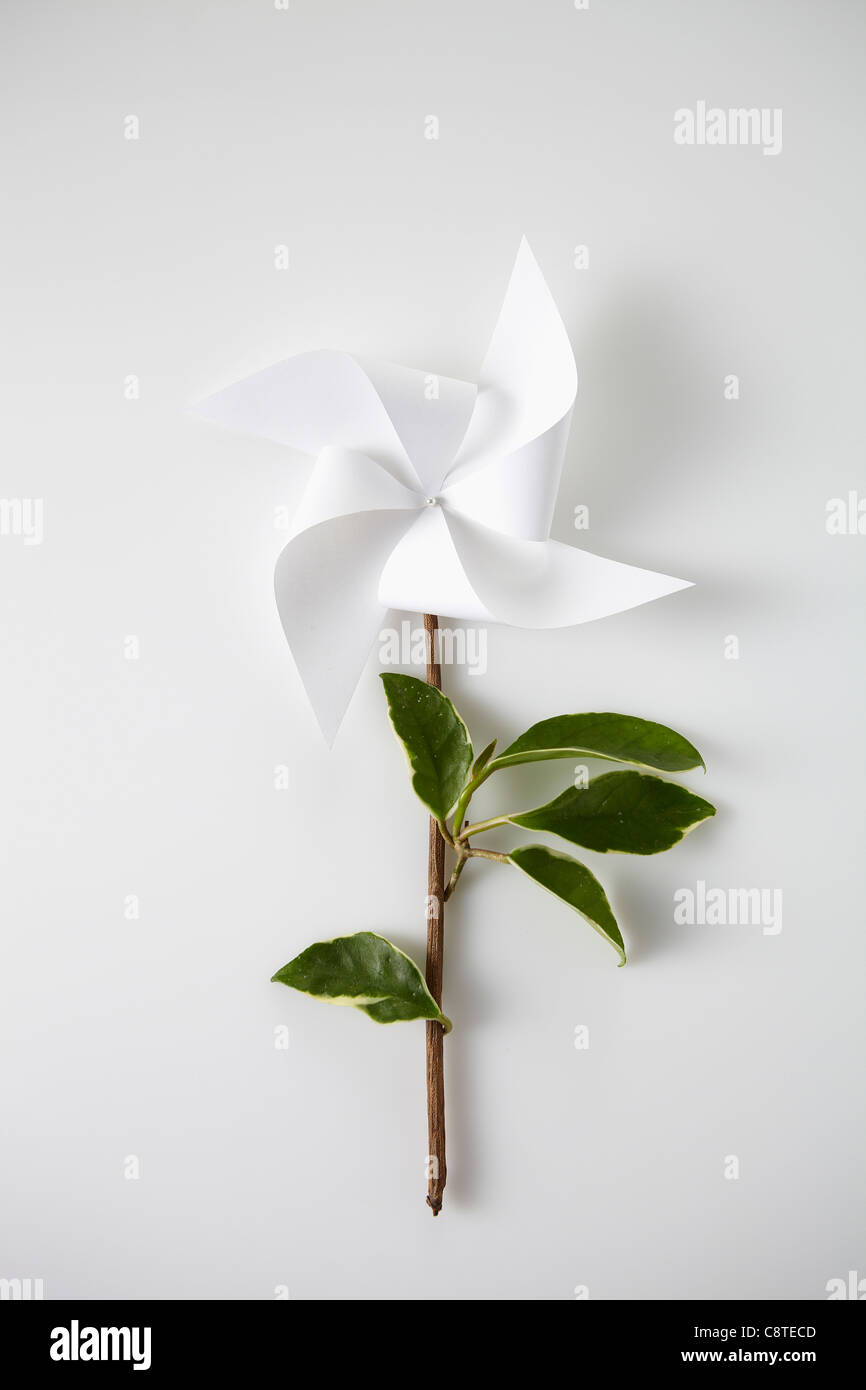 High angle view of pinwheel on stem on white background Stock Photo - Alamy