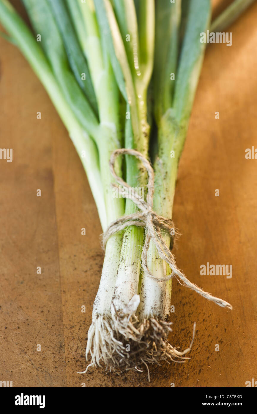 Close up of bunch of scallions Stock Photo - Alamy