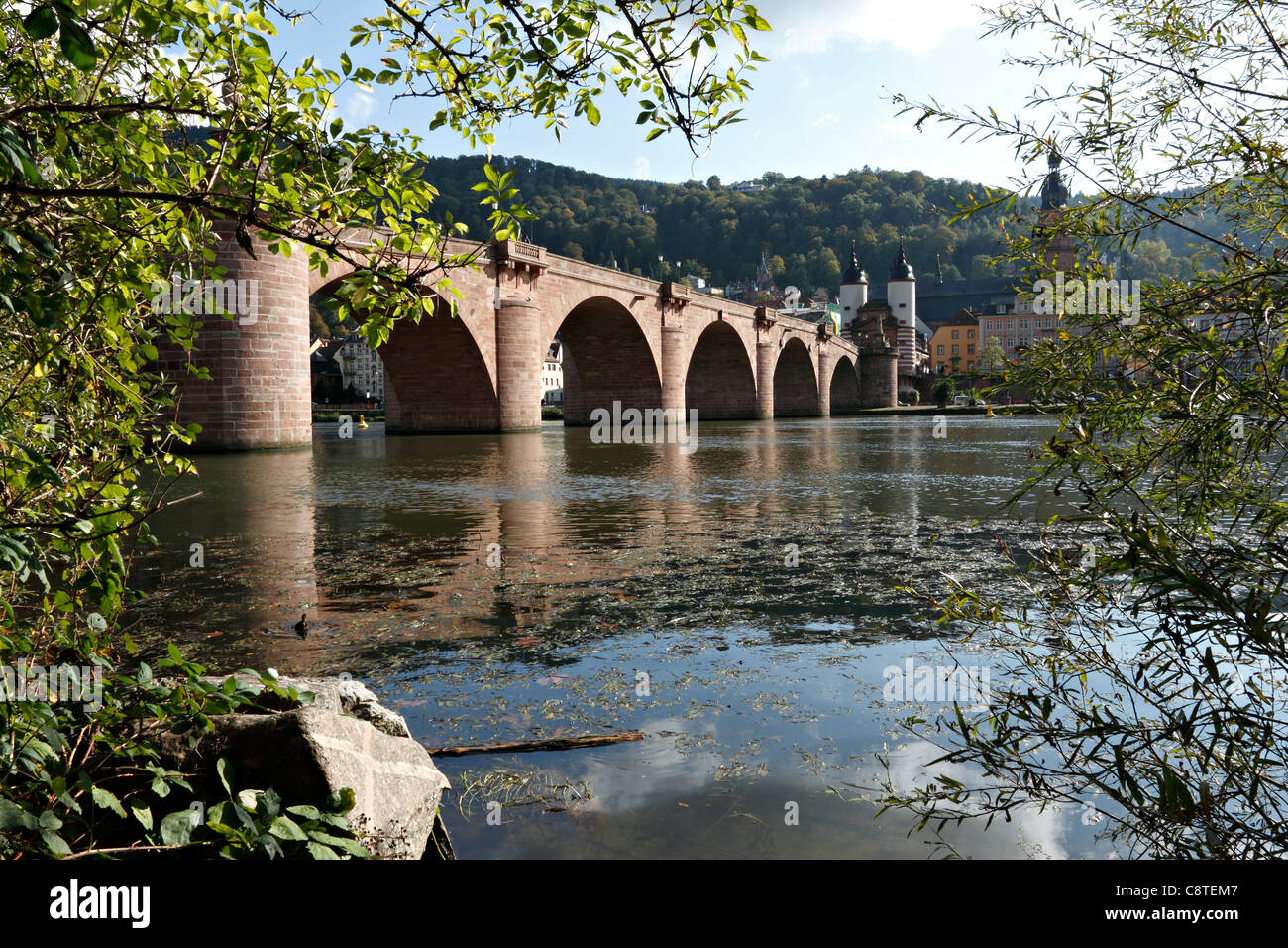 Karl theodor bridge hi-res stock photography and images - Alamy