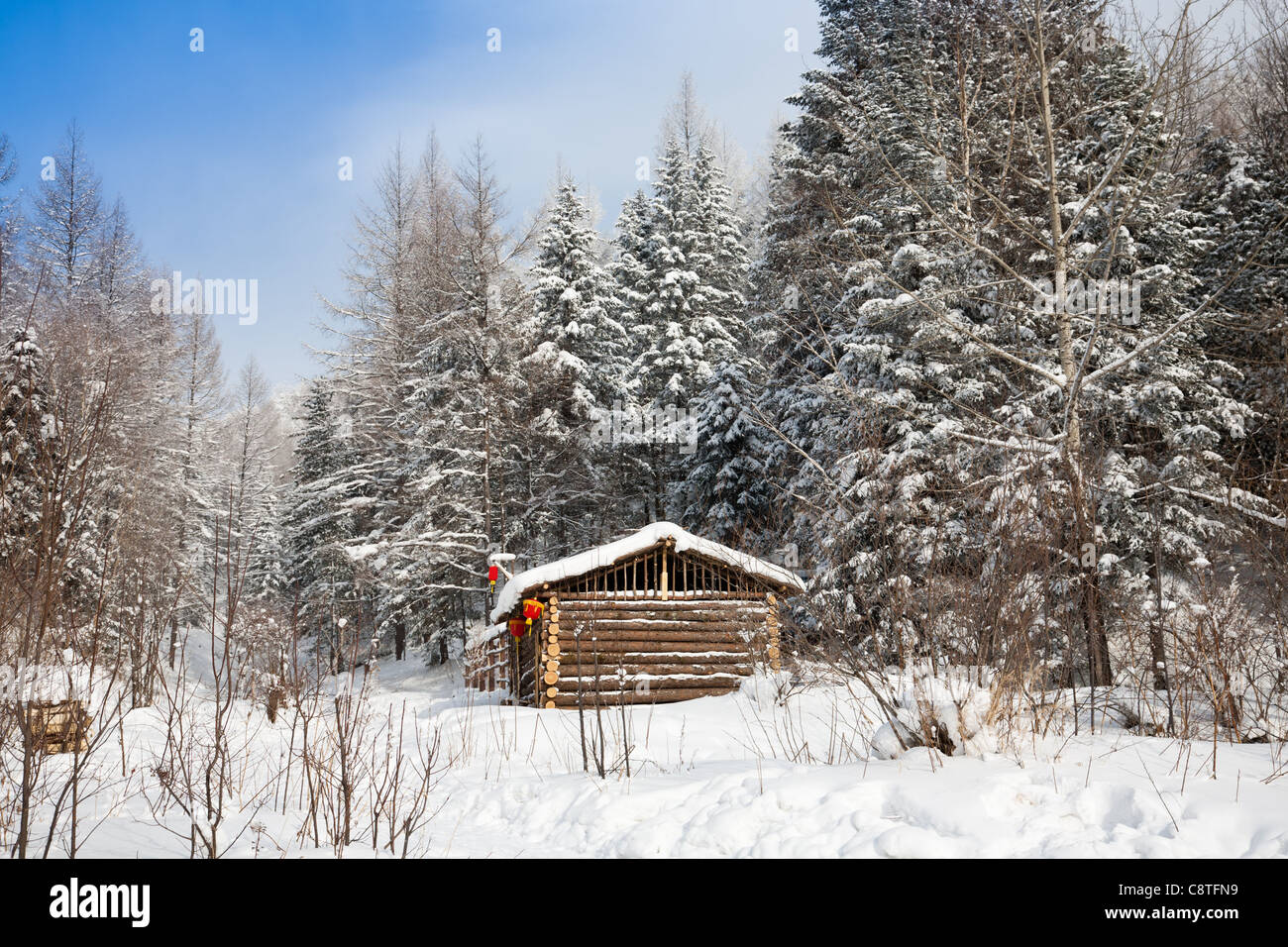 Forest cabin covered in snow hi-res stock photography and images - Alamy