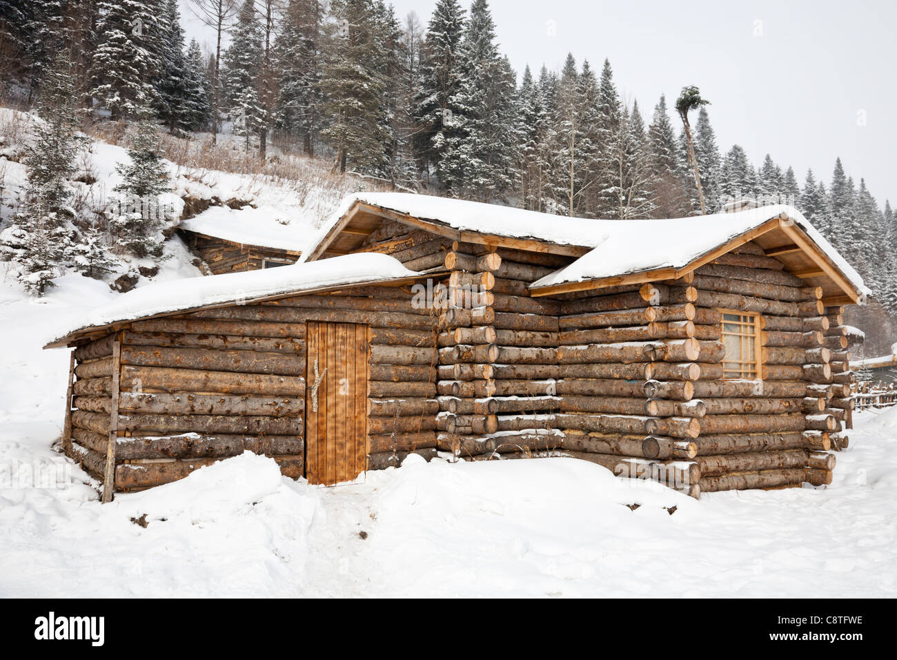 Log cabin in winter forest Stock Photo - Alamy
