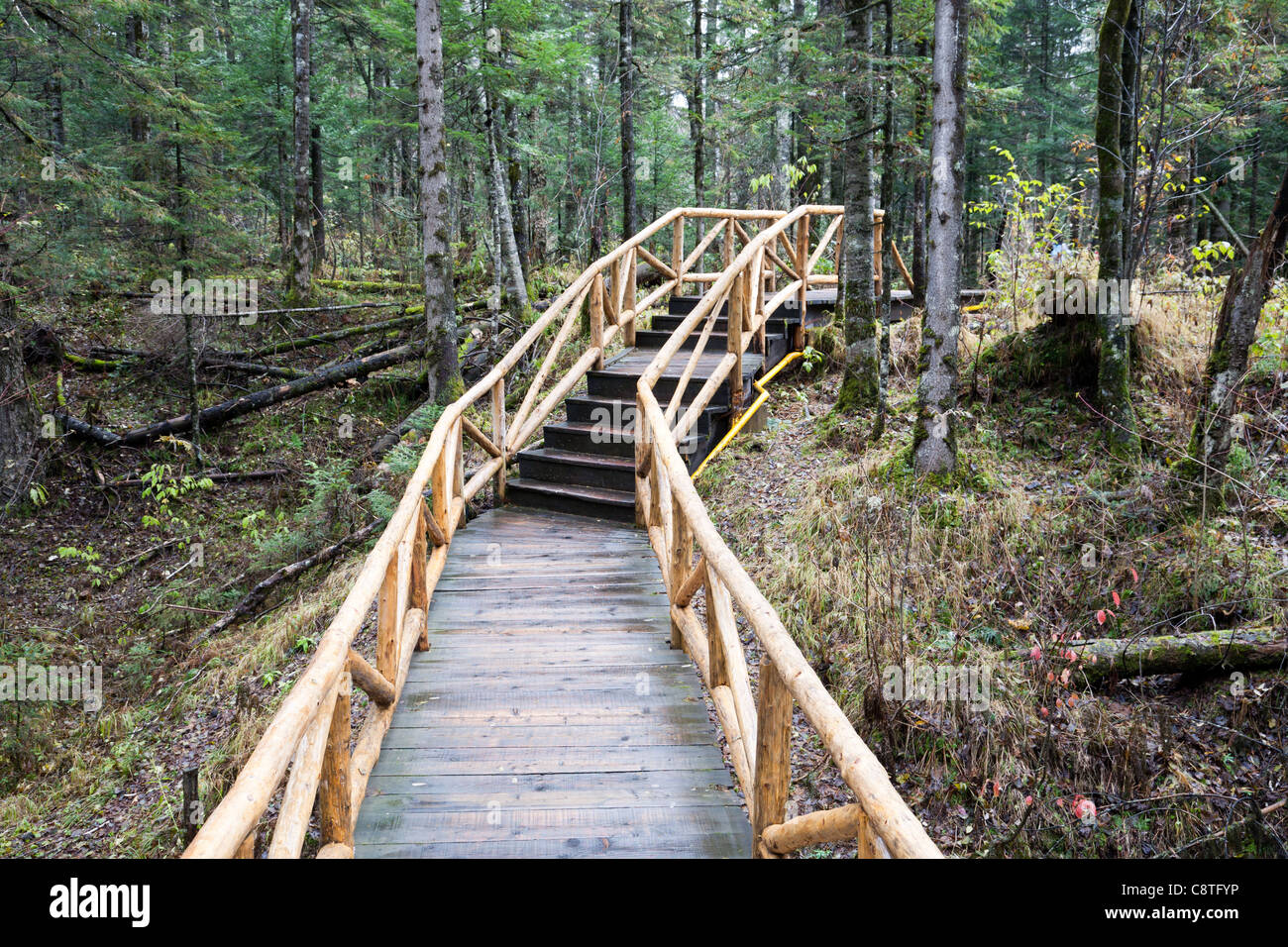 Walk way boardwalk path nature hi-res stock photography and images - Alamy