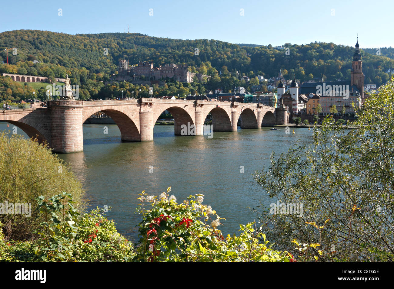 Karl theodor bridge neckar river hi-res stock photography and images ...