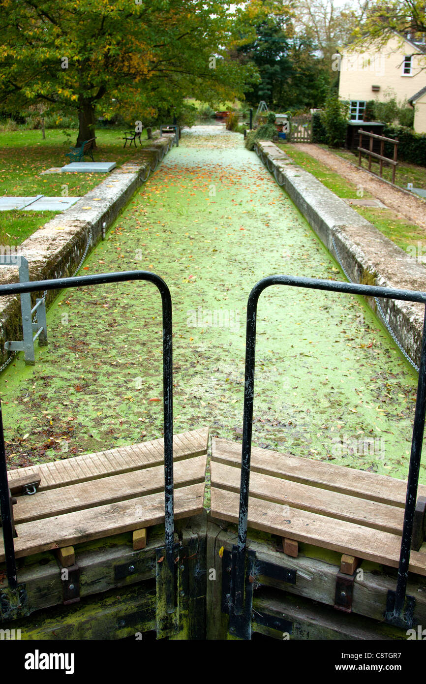 A green canal Stock Photo - Alamy
