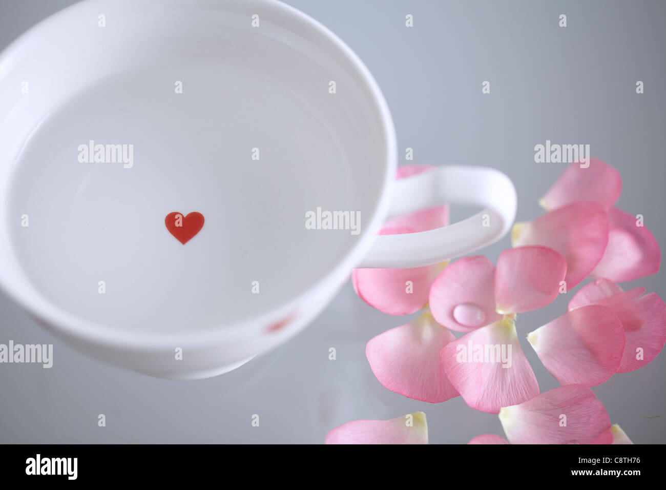 Cup shaped flower hi-res stock photography and images - Alamy