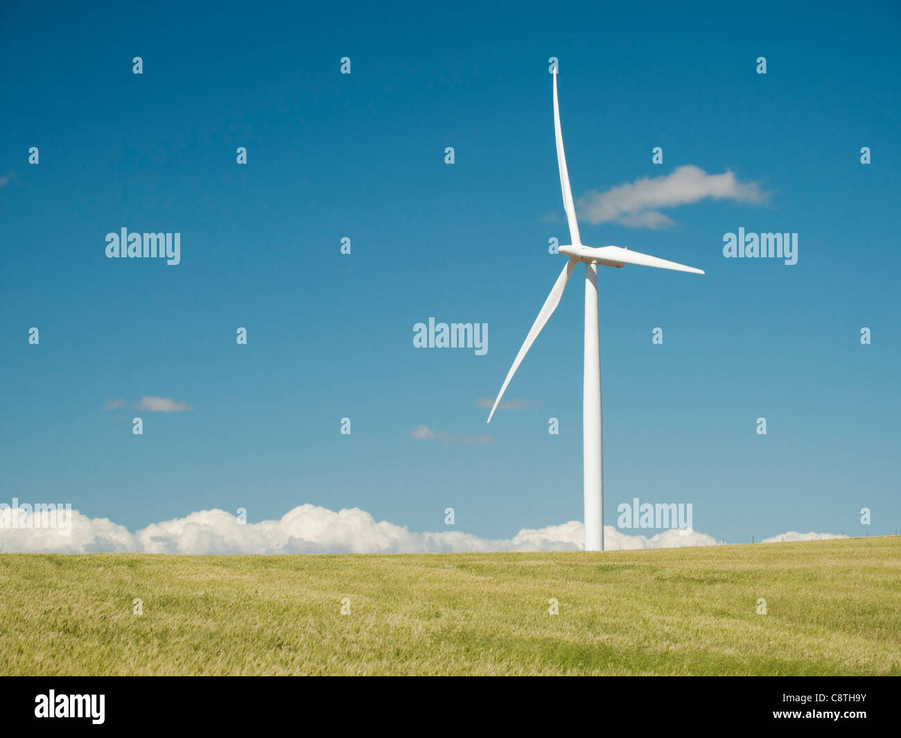 USA, Oregon, Wasco, Wheat field and wind farm in bright sunshine under ...