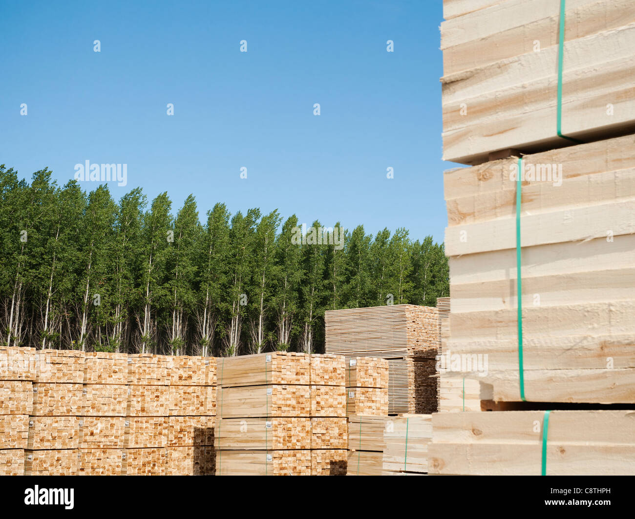 USA, Oregon, Boardman, Orderly stacks of timber in tree farm Stock ...