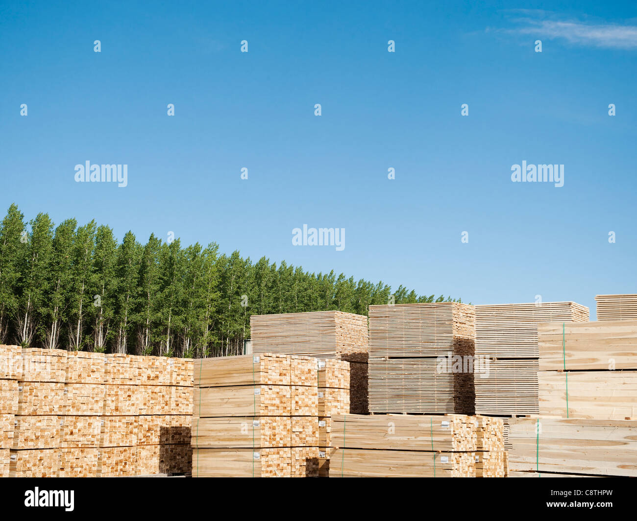 USA, Oregon, Boardman, Orderly stacks of timber in tree farm Stock ...
