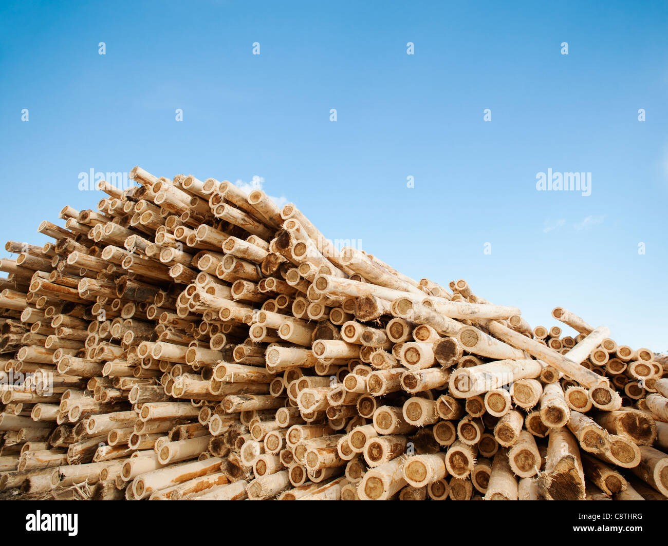 USA, Oregon, Boardman, Stack of timber against blue sky Stock Photo - Alamy