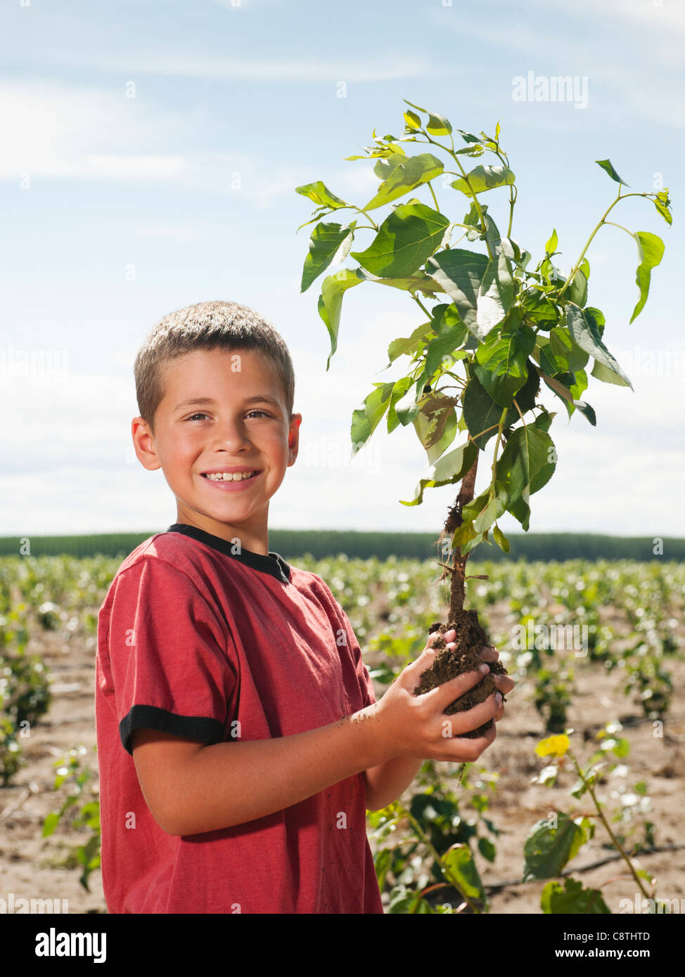 USA, Oregon, Boardman, Boy plating trees in tree farm Stock Photo - Alamy