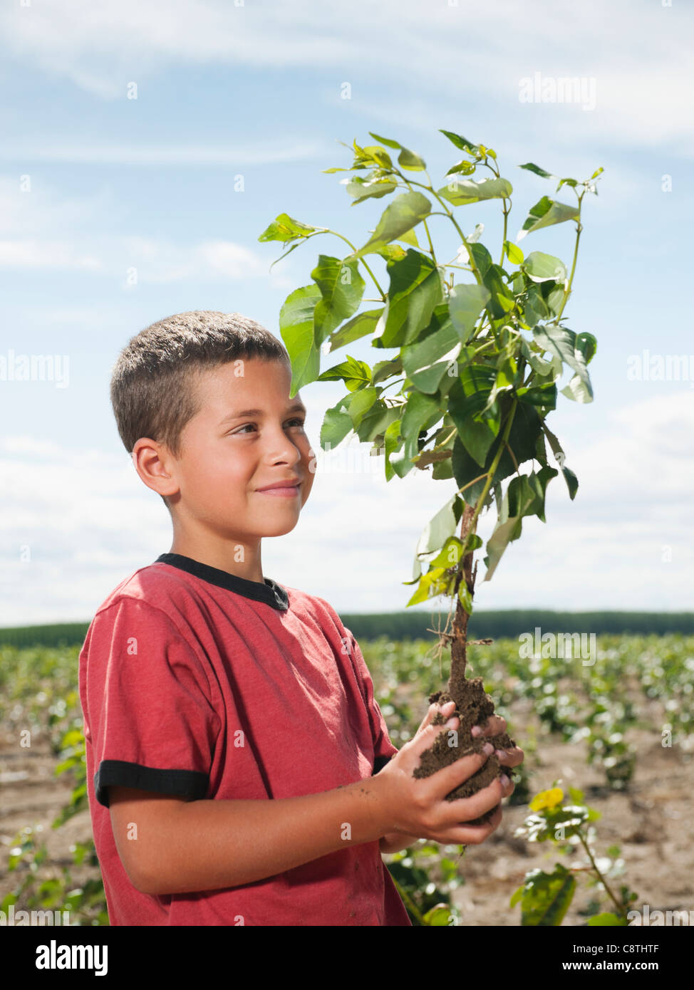 USA, Oregon, Boardman, Boy planting trees in tree farm Stock Photo - Alamy