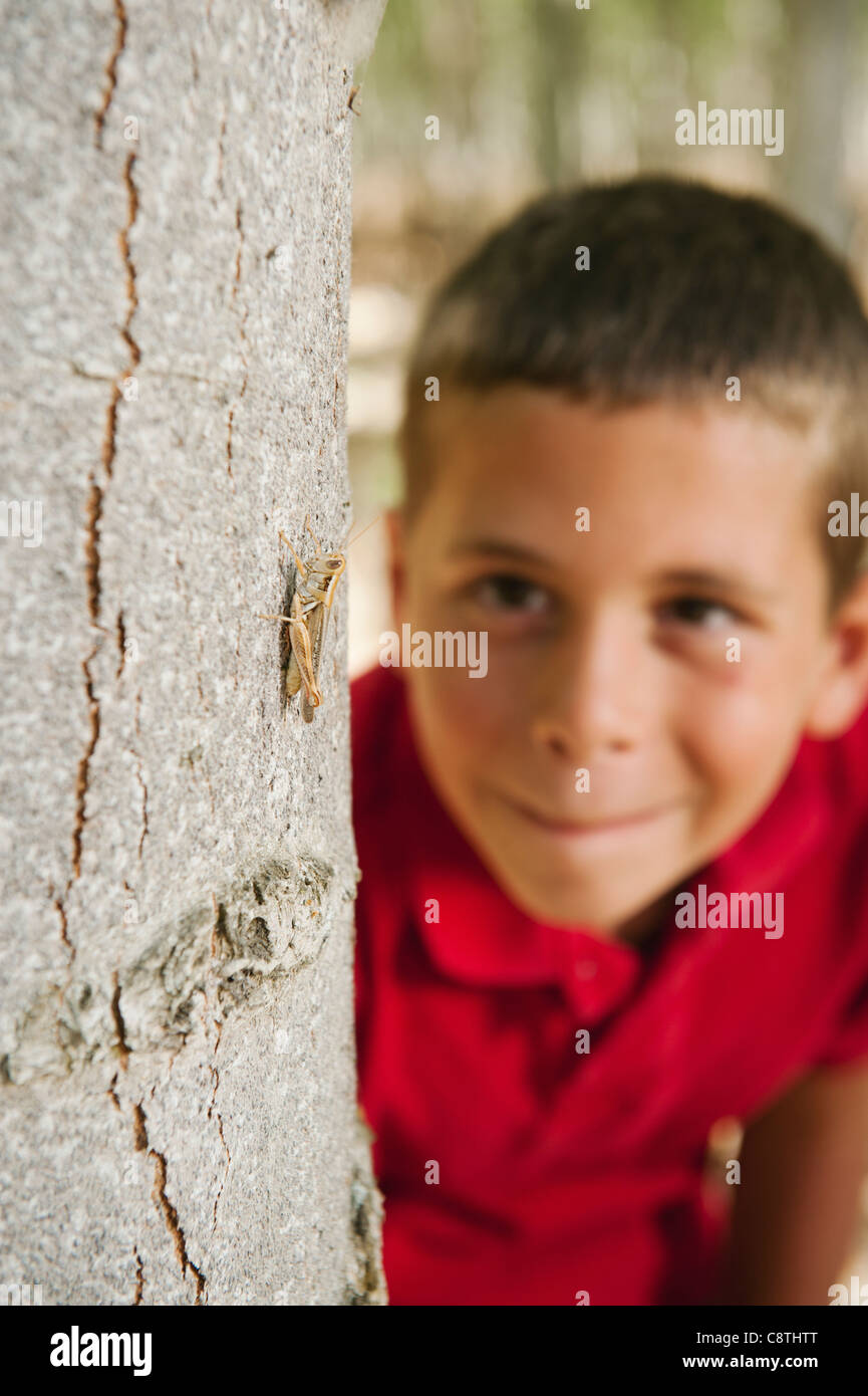 Child hiding between trees hi-res stock photography and images - Alamy