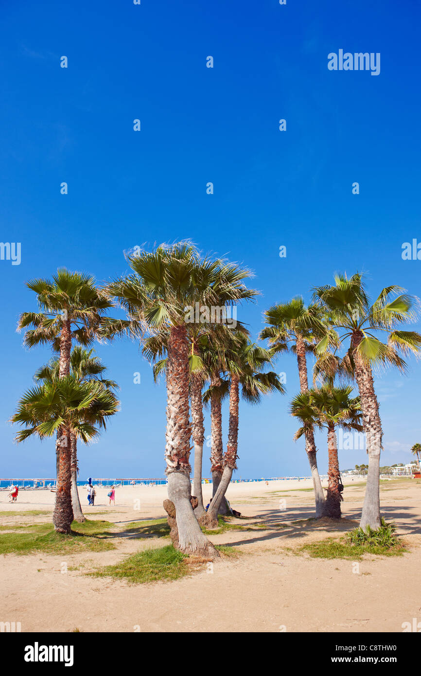 El vendrell beach hi-res stock photography and images - Alamy