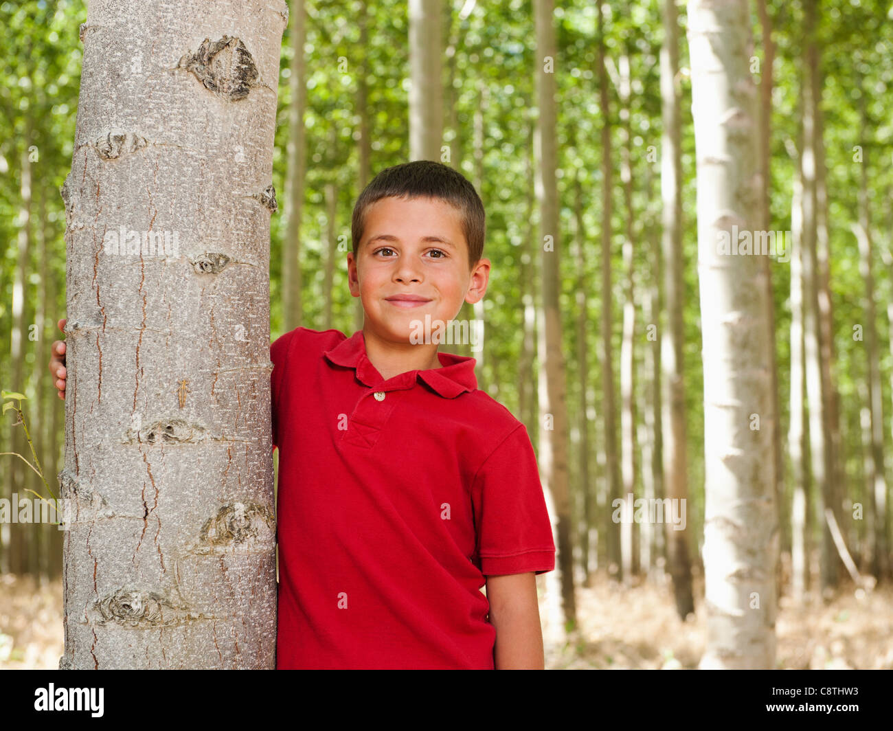 Boy standing behind tree hi-res stock photography and images - Alamy