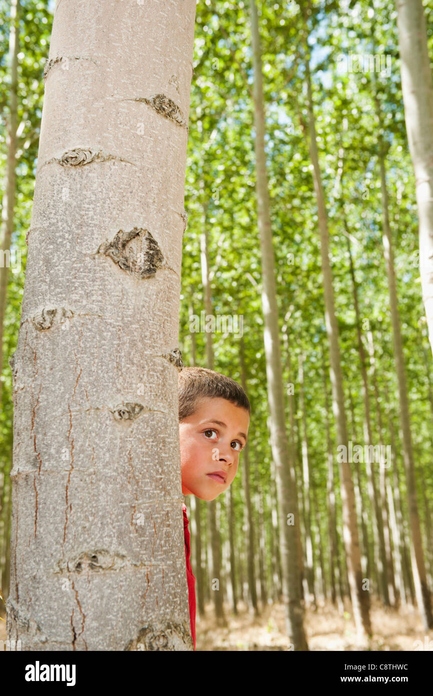 USA, Oregon, Boardman, Boy playing seekand hide between poplar trees in ...