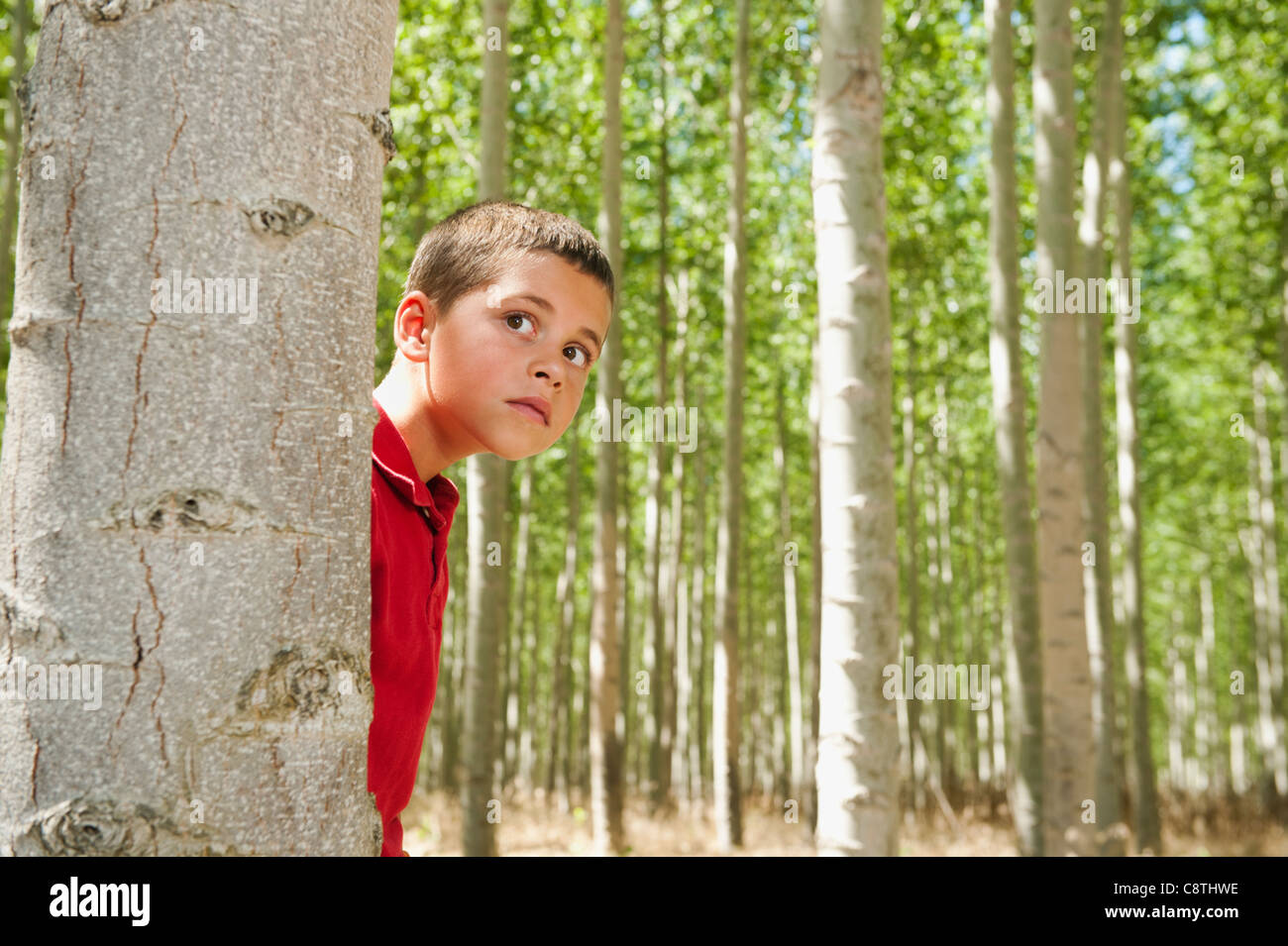 Child hiding between trees hi-res stock photography and images - Alamy