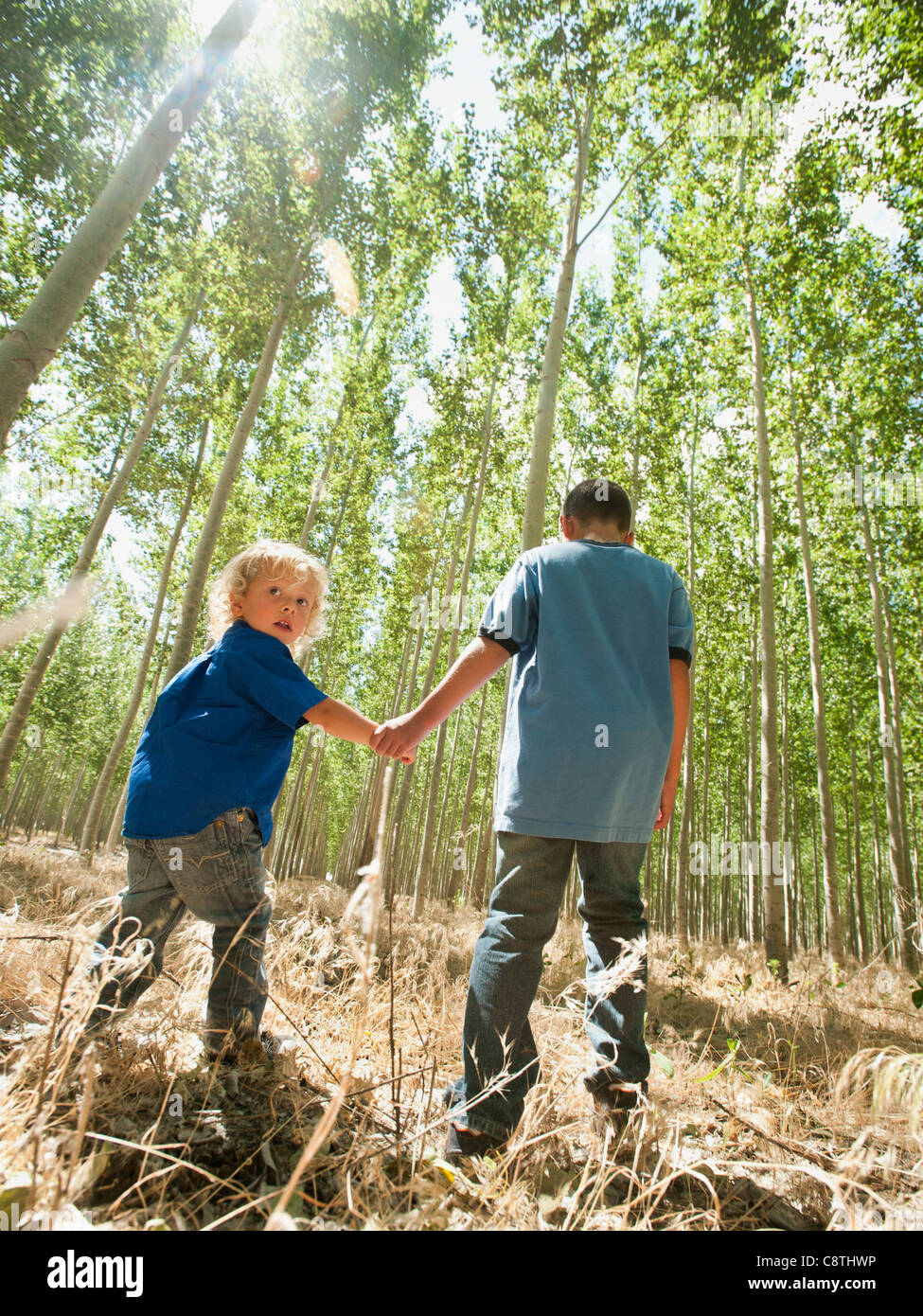 Walking boardman hi-res stock photography and images - Alamy