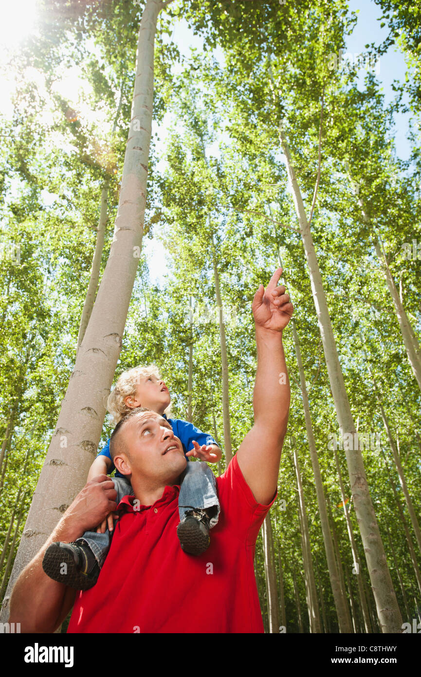 USA, Oregon, Boardman, Father showing son poplar trees in tree farm ...