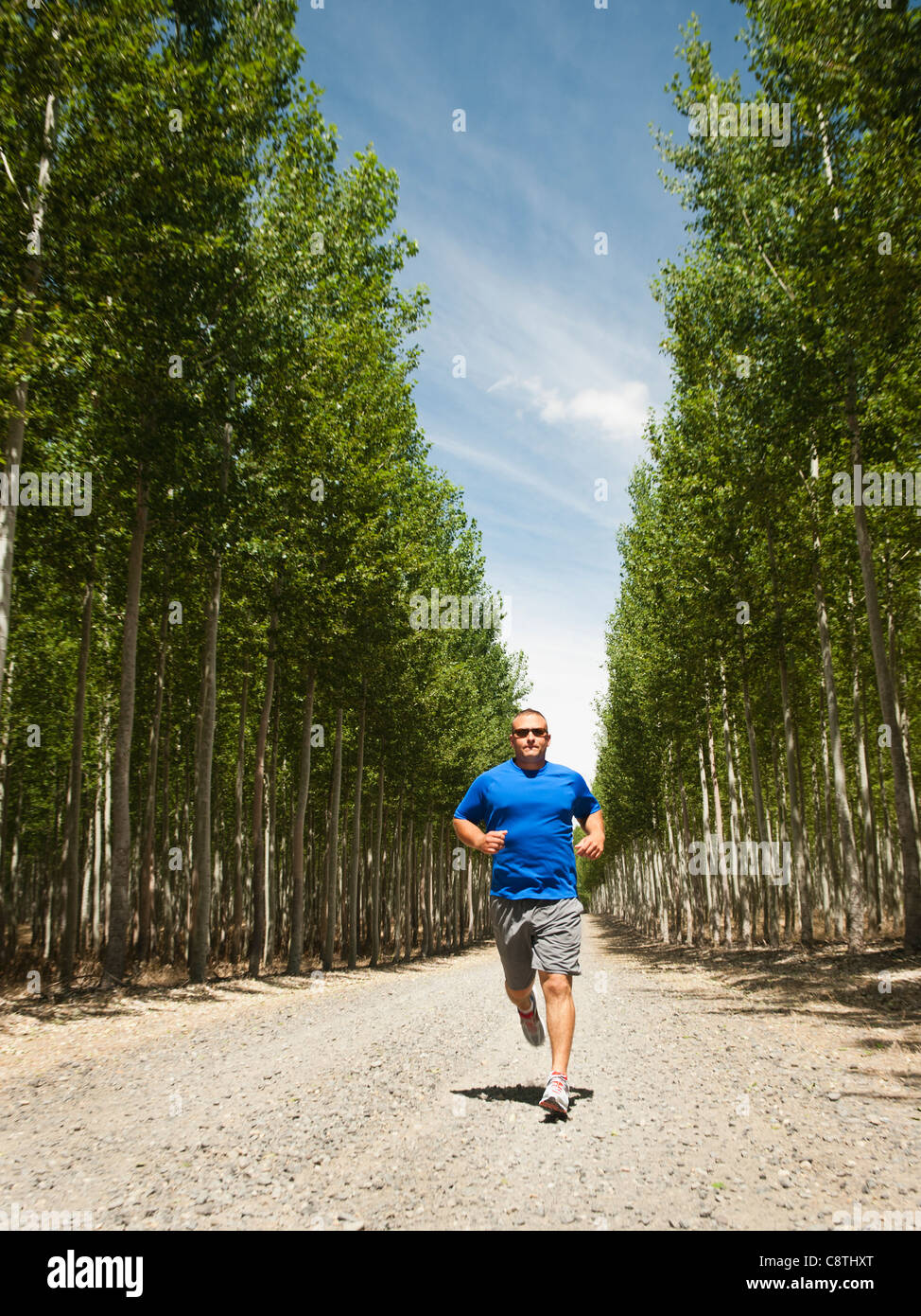 USA, Oregon, Boardman, Man running between rows of poplar trees in tree ...