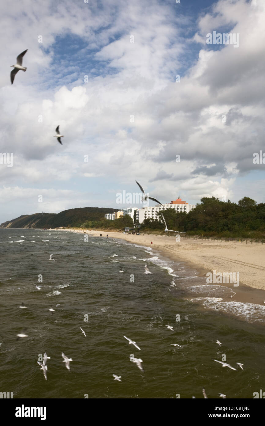 Amber coast hi-res stock photography and images - Alamy